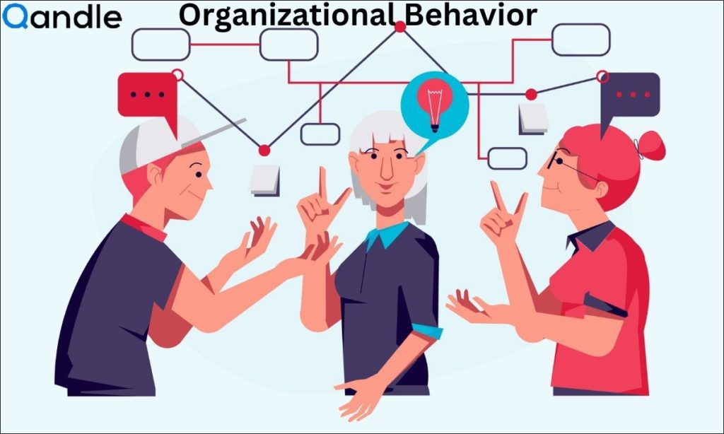 Behavior Organization And The People